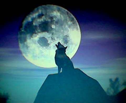Origenes de las historias sobre hombres lobo : Sobre Leyendas